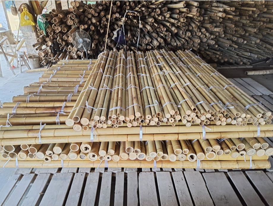 18mm hingga 160mm Diameter Bambu Cane Moso Bambu Pole Konstruksi Pertanian
